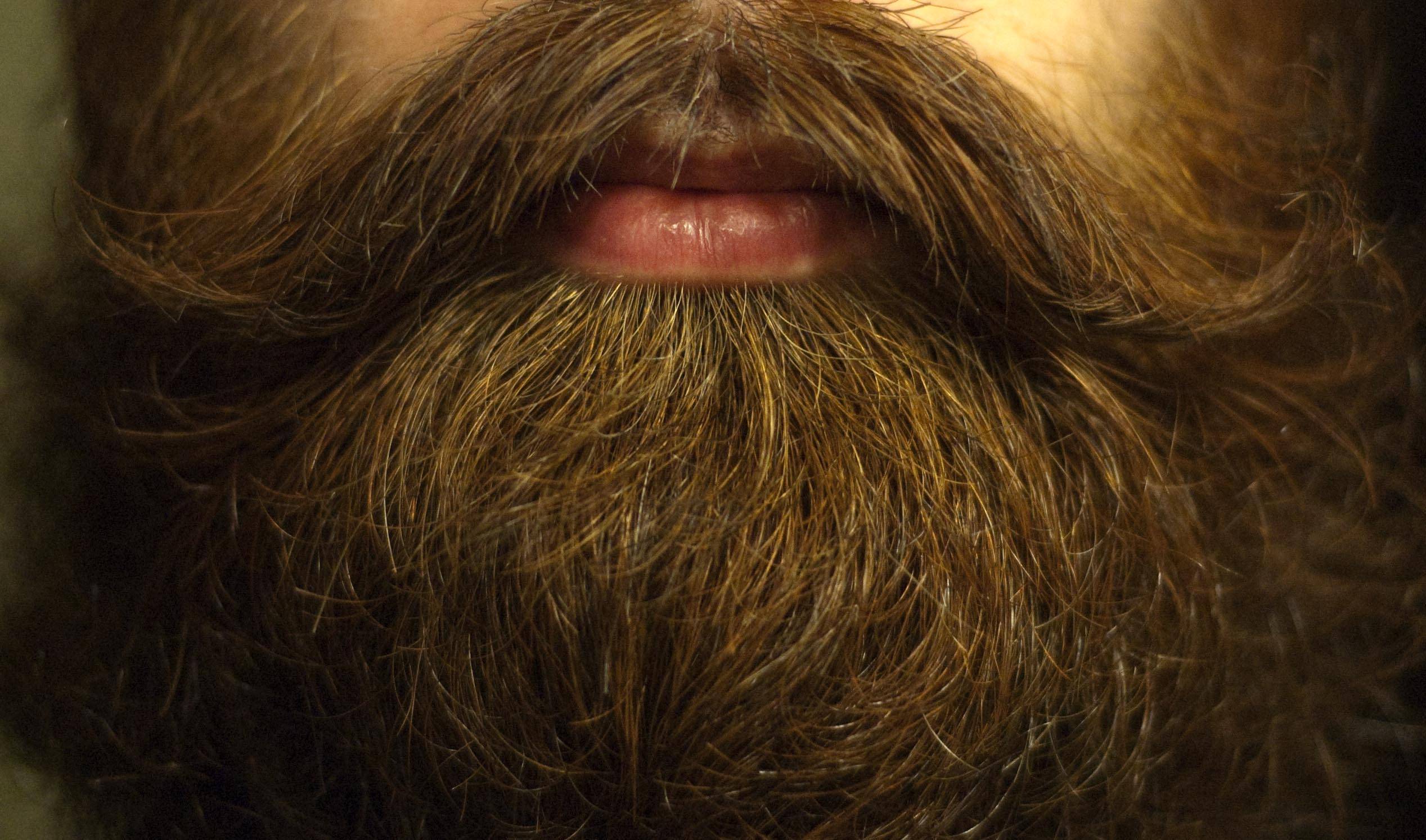 Tips for Starting and Cultivating Your Best Beard – Professor ...